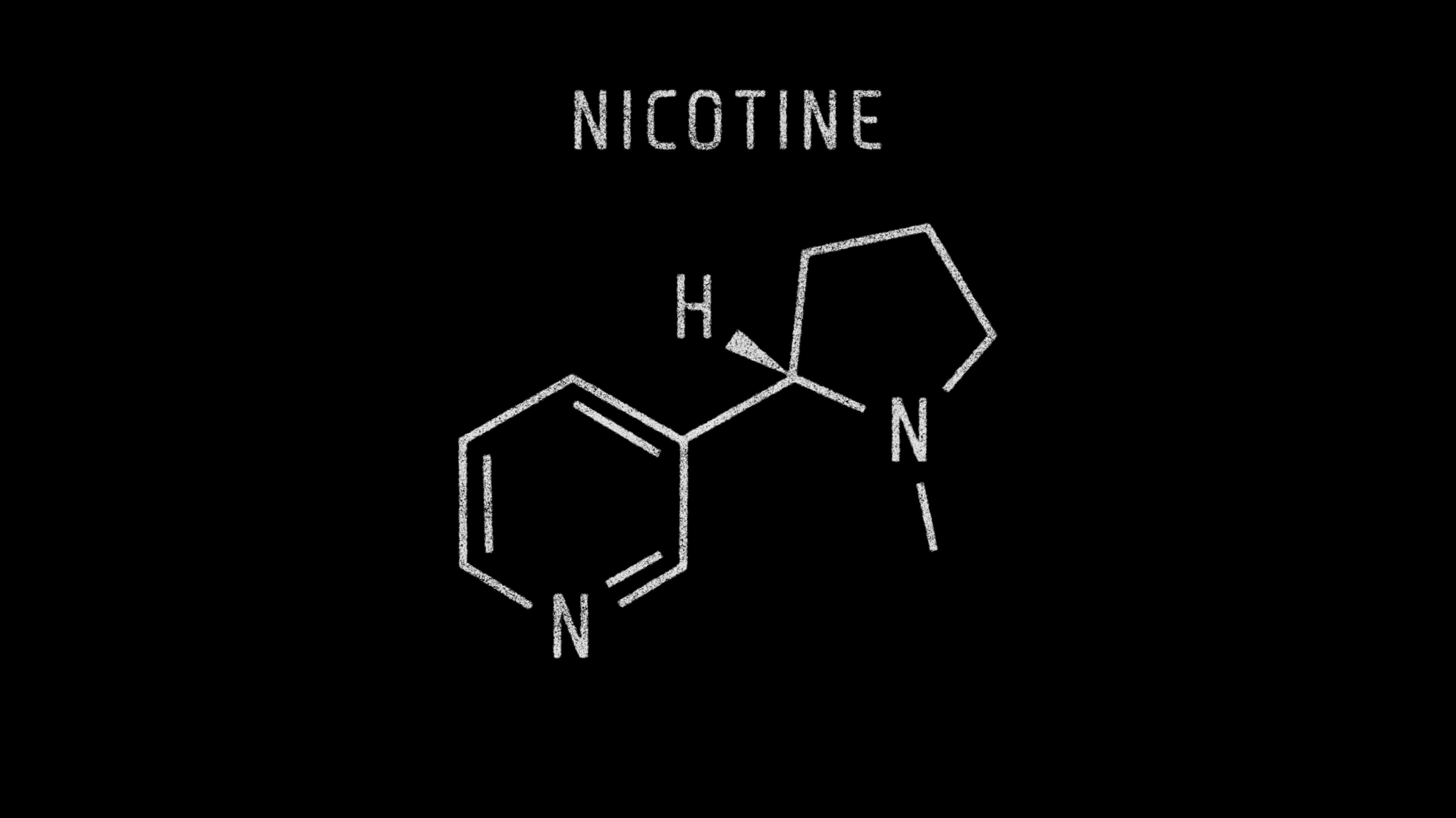 Molecular Structure Of Nicotine